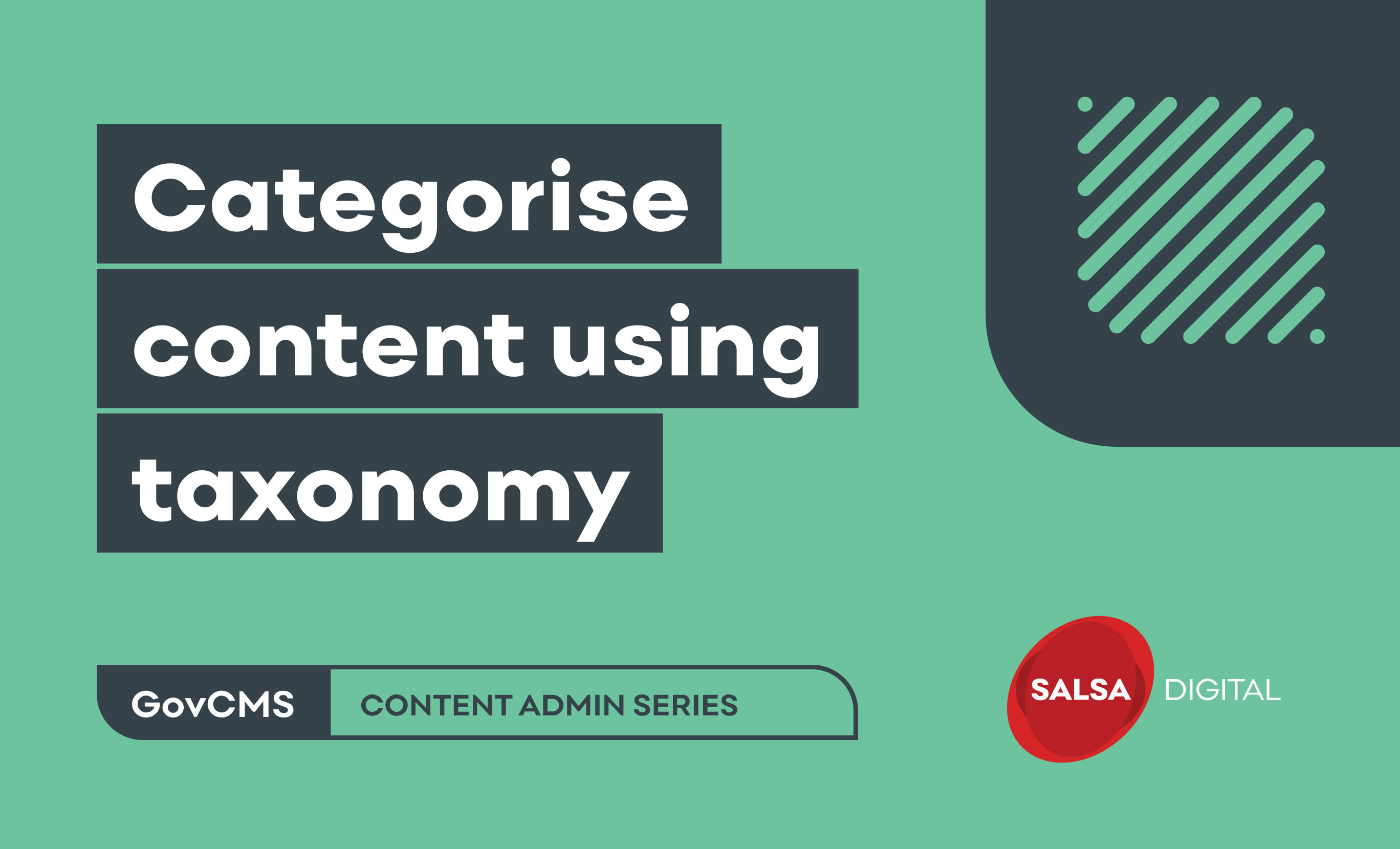 Categorise content using taxonomy | Salsa Digital
